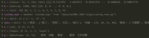 在 vs code 调试器中自动显示变量形状和维度信息 vscode如何显示变量窗口 csdn博客