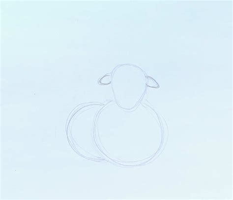 How To Draw A Sheep Easy Step By Step Basicdraw Com How To Draw A Sheep Easy Step By Step Basicdraw Com