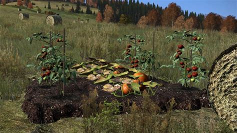 Ultimate Guide Setting Up A Garden In Dayz