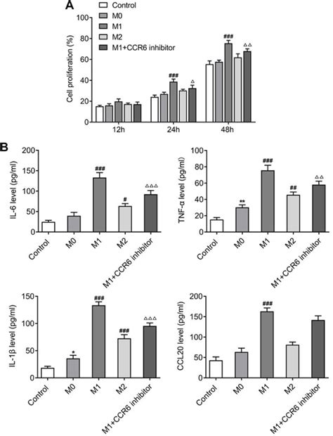 A Cck 8 Assay For Identifying The Proliferation Of Adenoid Epithelial