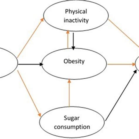 A Conceptual Framework Disentangling The Reciprocal Associations Of The