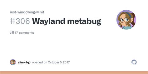 Wayland Metabug Issue Rust Windowing Winit GitHub