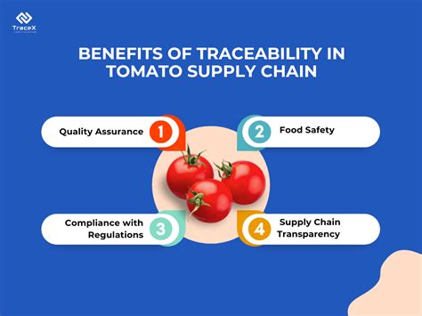 Tomato Supply Chain Challenges Transforming Tomato Value Chains