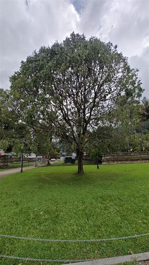 devanshu bhatia on linkedin colombo motivation travel inspiration culture ryanreynolds…