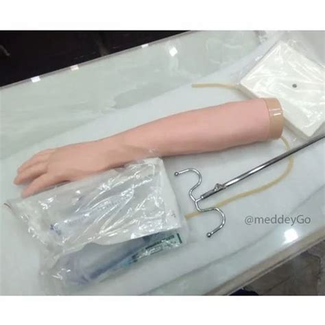 Intravenous Injection Training Arm Model At ₹ 16999 Piece Green Park New Delhi Id