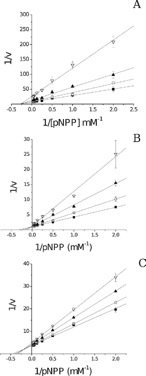 Double Reciprocal Plots Obtained By Using Ptp1b And Active Honey
