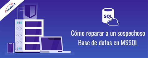 Cómo Reparar Una Base De Datos Sospechosa En Mssql Knowband Blog