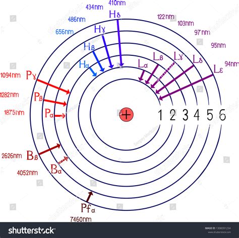 Hydrogen Spectral Series Stock Vector Royalty Free 1308391234