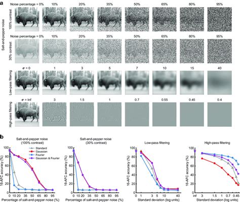 Noise Trained Dnns Can Partly Generalize To Other Image Distortions