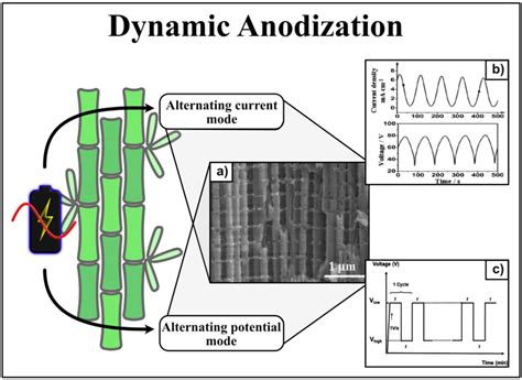 Infographic On Formation Of Bamboo‐like Tio2 Nts Arrays Grown Under The