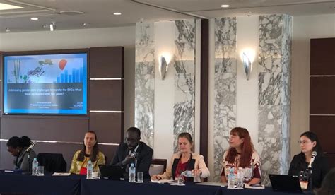 Gender Data Challenges To SDG Monitoring What Have We Learned UN Women Data Hub