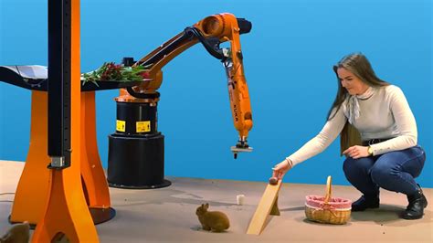 can a robot play fetch and boost your productivity