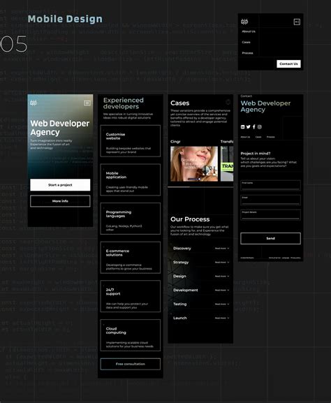 Developer Portfolio Behance