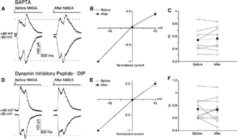 Ampar Plasticity Is Ca 2 Dependent And Requires Dynamin Dependent