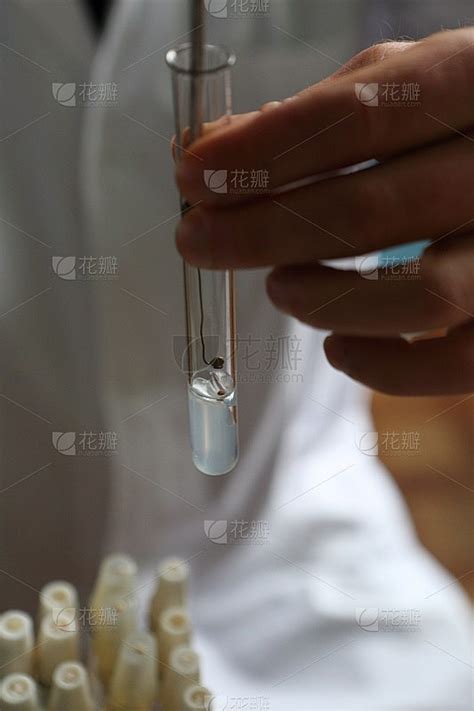 在科学实验室里研究发芽的种子