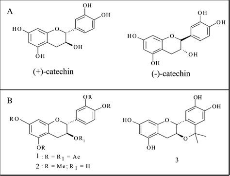 Chemical Structure Of And Catechin And The Synthetic Download Scientific Diagram