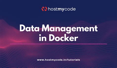 Persistent Data Management In Docker Hostmycode