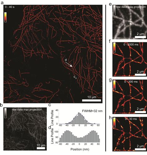 Figure 23 From Development And Characterization Of Single Molecule Switching Nanoscopy