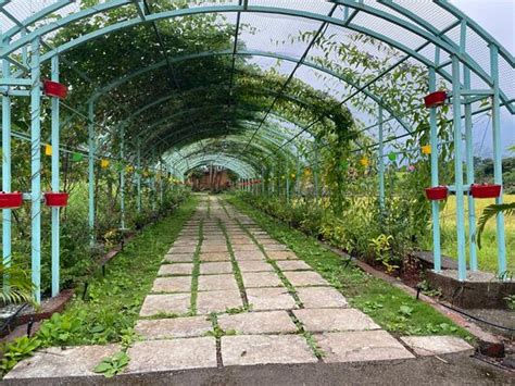 Karvanda Farms Nature Stay Mangaon Índia 6 Fotos E Avaliações