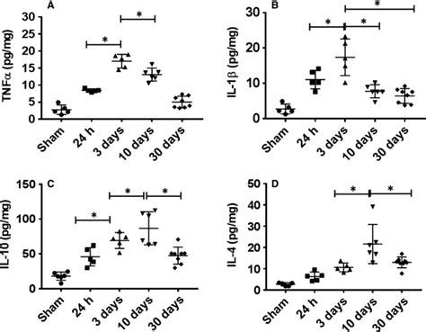 Interferon Regulatory Factor 4 5 Signaling Impacts On Microglial Activation After Ischemic