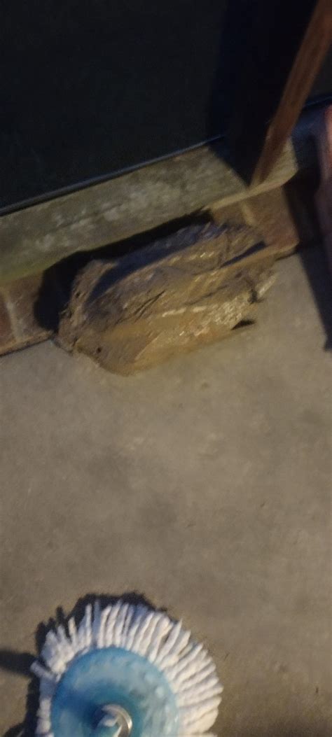 Muddy Rc Was A Fun Bash R Arrma Muddy Rc Was A Fun Bash R Arrma