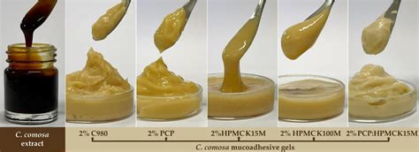 Figure 2 From Formulation And In Vitro Evaluation Of Mucoadhesive Sustained Release Gels Of