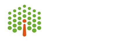 Soec电解水制氢技术及现状分析 艾邦氢能源技术网