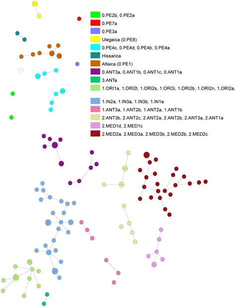 Minimal Spanning Tree Of The Strains As Shown In Figures 1 And 2 Using