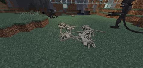 Chronokillers Xenomorph Aliens Mod 1 19 2 1 18 2 Minecraft Mod