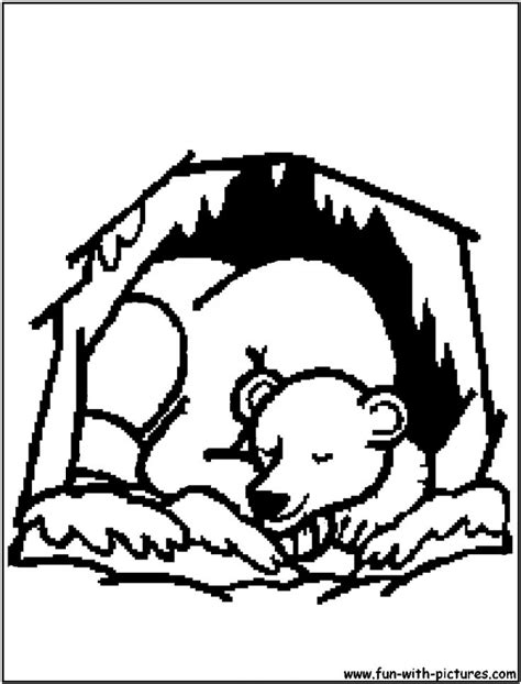 Hibernation Art Lesson Plan Bears Hibernate Explained