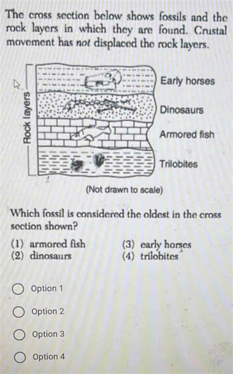 Solved The Cross Section Below Shows Fossils And The Rock Layers In