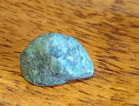 Could This Be A Fossilized Shell Rfossilid