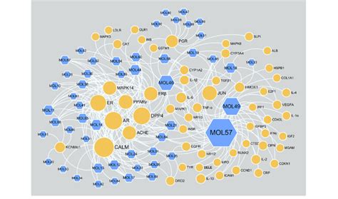 Compound Target C T Network Was Constructed By Linking The Candidate Download Scientific