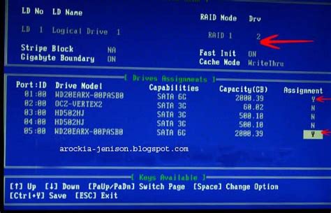 Technical World Set Up A RAID Drive Array In Windows Example ASUS Motherboard