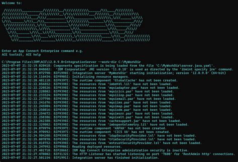 Exploring Ibm App Connect Enterprise 12 0 9 0