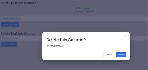 Delete Multiple Column And Group User Guide