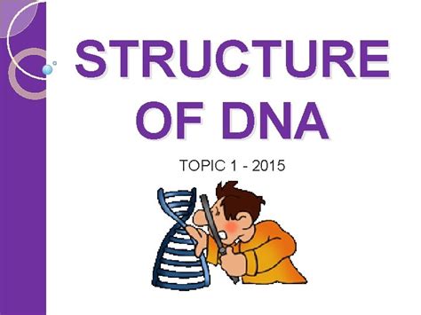 STRUCTURE OF DNA TOPIC 1 2015 YEAR 10