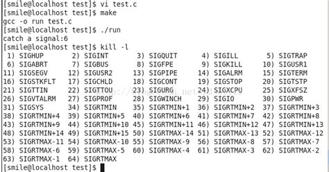 linux信号处理详解 csdn博客