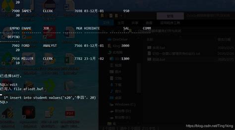 如何更改sqlplus出现中文乱码的问题（缓冲区文件里面的中文在cmd中乱码） tableplus 中文乱码 csdn博客