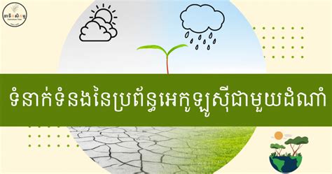 តើប្រព័ន្ធអេកូឡូសុីកសិកម្មមានសារៈសំខាន់អ្វីខ្លះទៅដល់ដំណាំ