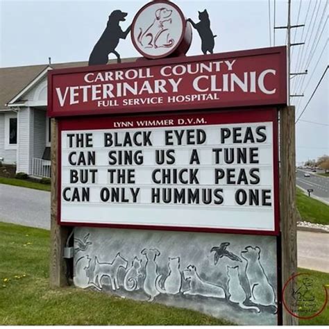 “stupid And Weird Signs” 50 Of The Funniest Signs Ever As Collected