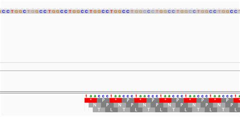 New Sequencing Artefacts In Latest Basecallers · Issue 9 · Ktan8 Nanopore Telomere Basecall