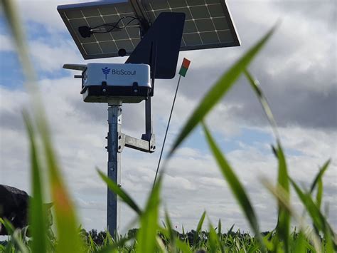 Automated Detection Takes Guesswork From Fungicide Response Groundcover