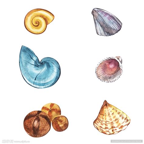 海洋主题插画图案设计图psd分层素材psd分层素材设计图库昵图网
