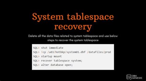 Oracle Database Hot Backup And Recovery PDF Operating Systems Computer Software And