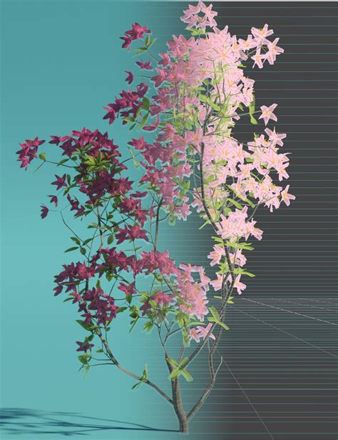 Flowering Deciduous Azalea Bushes Daz 3d