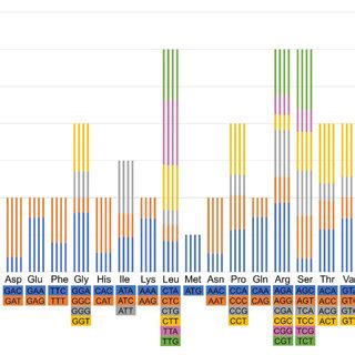 Codon Content And Codon Usage Of Amino Acids And Stop Codons In Download Scientific Diagram