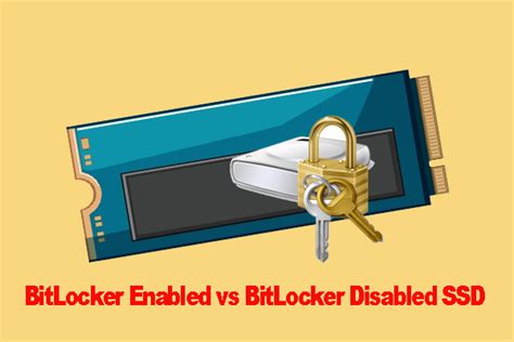 Unlock Wd Blue Vs Crucial Mx500 Ssd And How To Upgrade It