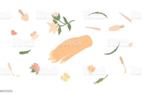 손톱과 꽃을 위한 매니큐어 세트로 여성의 손 손은 매니큐어 브러쉬 나비 꽃 한 병 옆에 놓여 있습니다 손과 손톱 관리를위한 재료 미용실 가위에 대한 스톡 벡터 아트 및 기타