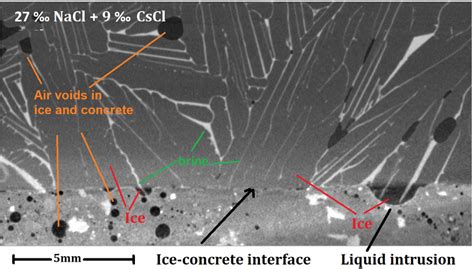 Grey Level Micro Ct Image Cross Section Of Frost Salt Scaling Specimen